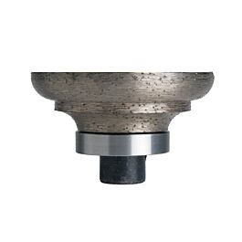 Shark Router Bit Cove Dupont O25 Pos 1